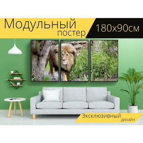 Модульный постер "Лев, большой кот, большие" 180 x 90 см. для интерьера