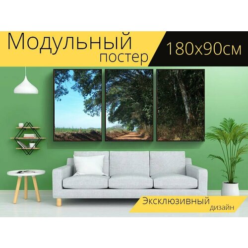 Модульный постер "Грязная дорога, ферма, деревья" 180 x 90 см. для интерьера