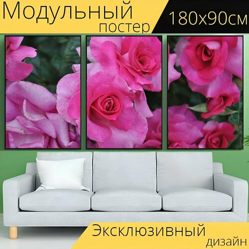 Модульный постер "Розовые розы, природа, завод" 180 x 90 см. для интерьера