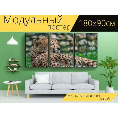 Модульный постер "Гепард, кошка, хищник" 180 x 90 см. для интерьера