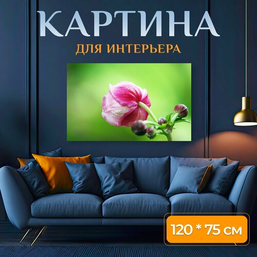 Картина на холсте "Анемона, осенний анемон, цветочная пыльца" на подрамнике 120х75 см. для интерьера