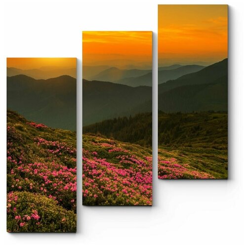 Модульная картина Волшебные розовые цветы в горах 120x128