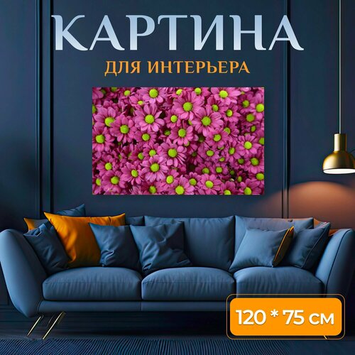 Картина на холсте "Хризантема, цветок, фиолетовый" на подрамнике 120х75 см. для интерьера