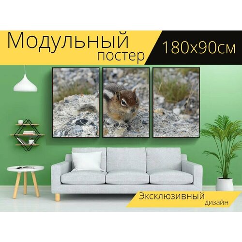 Модульный постер "Бурундук, животные, природа" 180 x 90 см. для интерьера