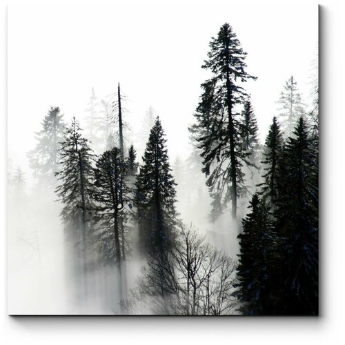 Модульная картина Лес в утреннем тумане60x60