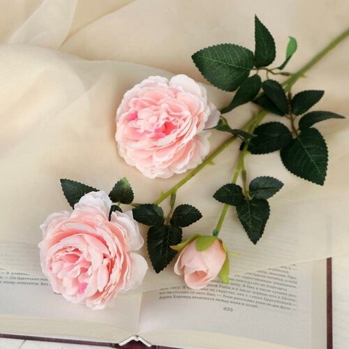 Poetry in flowers Цветы искусственные "Роза терция" 8х60 см, розовый