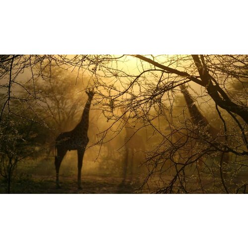 Картина на холсте 60x110 Альянс Лес "Деревья свет жирафы туман" на подрамнике / интерьер/ декор