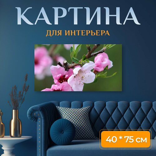 Картина на холсте "Весна, вишни в цвету, цветок" на подрамнике 75х40 см. для интерьера