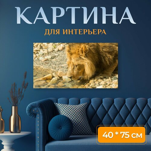 Картина на холсте "Лев, питьевой, вода" на подрамнике 75х40 см. для интерьера