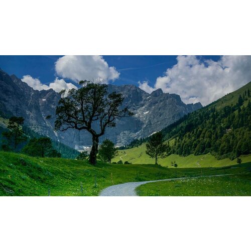 Картина на холсте 60x110 Альянс Лес "Karwendel горы Austria поле" на подрамнике / интерьер/ декор