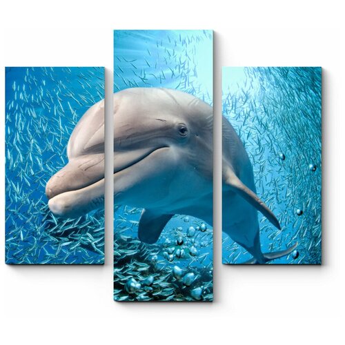 Модульная картина Улыбка дельфина 60x54