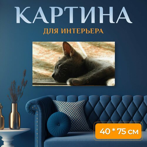 Картина на холсте "Животное, кот, кошачий" на подрамнике 75х40 см. для интерьера