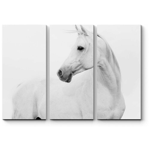 Модульная картина Белая лошадка110x79