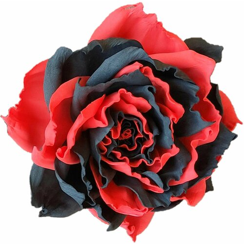 Заколка-брошь для волос/одежды/сумки большой цветок роза красно-черная двухцветная 1222м