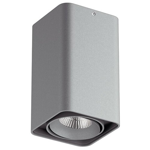 Потолочный светильник Lightstar Monocco 052339, 10 Вт, кол-во ламп: 1 шт., кол-во светодиодов: 1 шт., цвет: серый