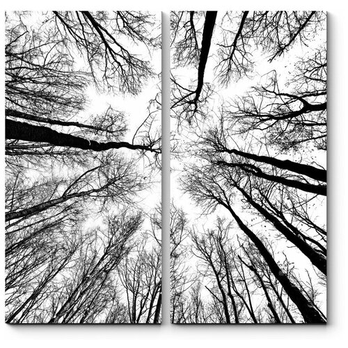 Модульная картина Осенний лес 100x100