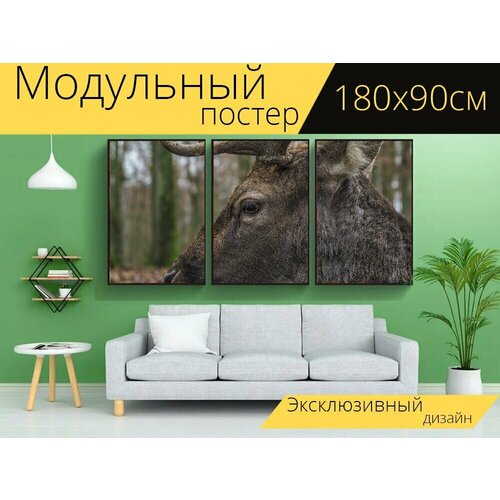 Модульный постер "Животное, олень, природа" 180 x 90 см. для интерьера