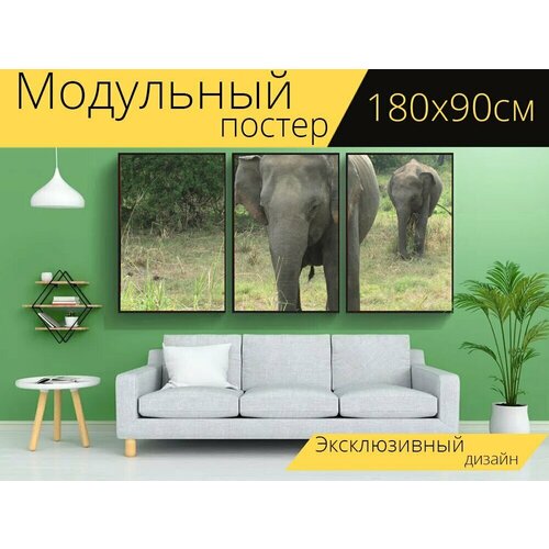 Модульный постер "Слон, животные, природа" 180 x 90 см. для интерьера