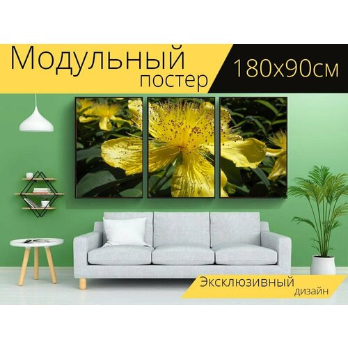 Модульный постер "Большой кубок зверобой, цветок, цвести" 180 x 90 см. для интерьера