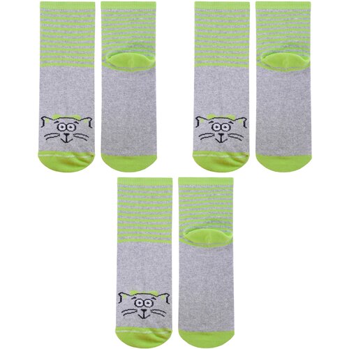 Носки Альтаир 3 пары, размер 24, серый, зеленый