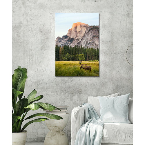 Картина - коричневая антилопа, антилопа , горы, антилопа в горах, антилопы в лесу 30х40