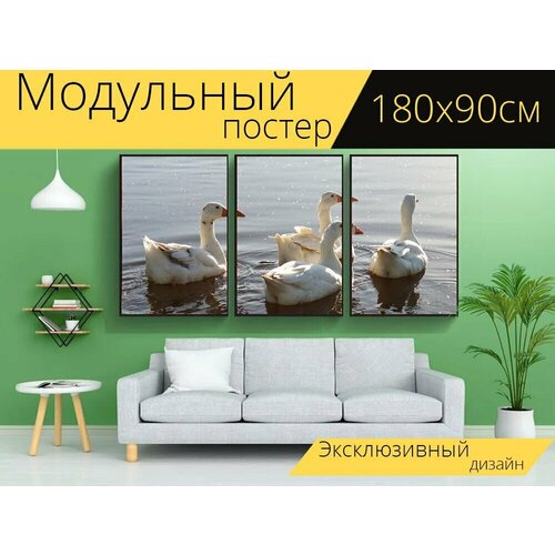 Модульный постер "Гуси, птицы, озеро" 180 x 90 см. для интерьера