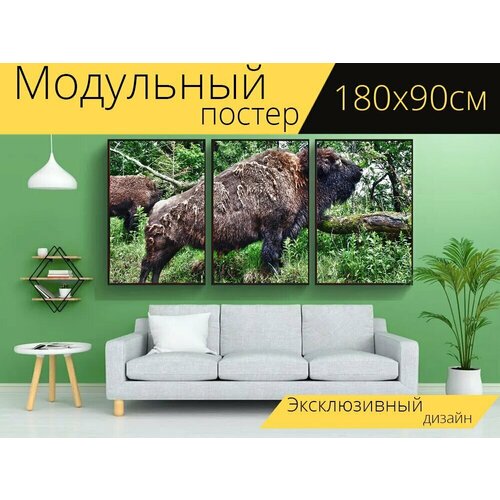 Модульный постер "Зубр, буйвол, женский пол" 180 x 90 см. для интерьера