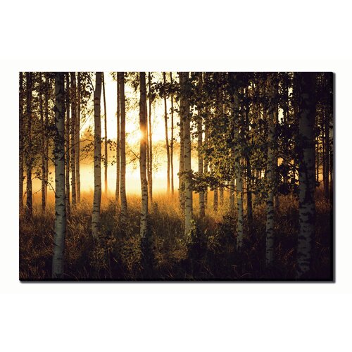 Картина для интерьера на холсте фото "Березы на закате" лес 60х90, холст без подрамника