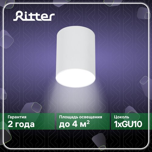 Светильник накладной Arton, цилиндр, 80х100мм, GU10, алюминий, белый, настенно-потолочный светильник для гостиной, кухни, спальни, Ritter, 59976 0