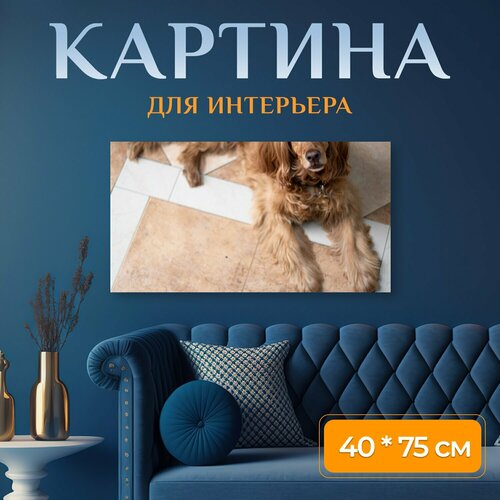 Картина на холсте "Английский кокер спаниель, собака, щенок" на подрамнике 75х40 см. для интерьера