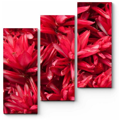 Модульная картина Красные тропические цветы70x75
