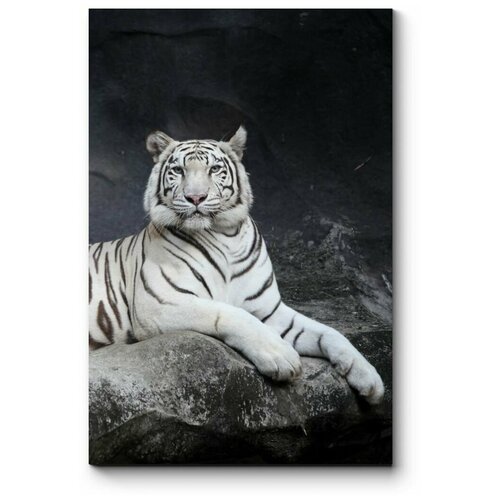 Модульная картина Величественный белый тигр 70x105