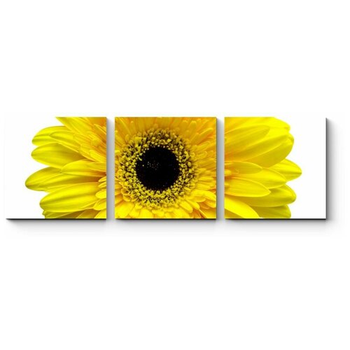 Модульная картина Солнечная гербера 190x63