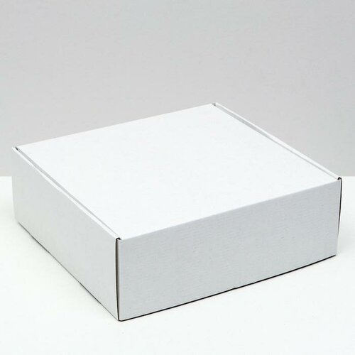 Коробка самосборная, белая, 27,5 х 26 х 9,5 см (5 шт)