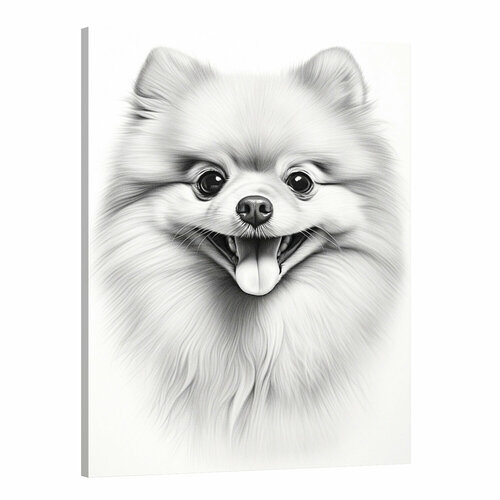Интерьерная картина 50х70 "Шпиц: собака, которая умеет воровать сердца"