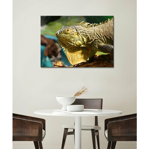 Картина -Игуана, зеленая игуана, ящерица (24) 20х30