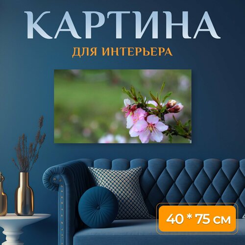 Картина на холсте "Цветок, весна, миндаль" на подрамнике 75х40 см. для интерьера