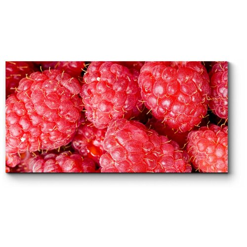 Модульная картина Крупные ягоды малины 170x85