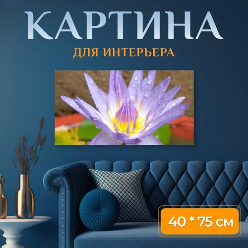 Картина на холсте "Лотос, цветок, лепестки" на подрамнике 75х40 см. для интерьера