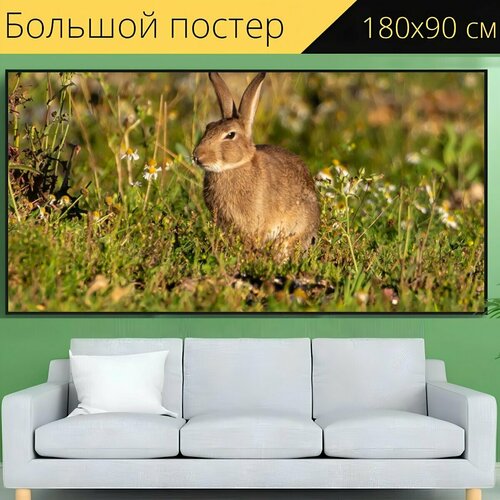 Большой постер "Кролик, животное, природа" 180 x 90 см. для интерьера