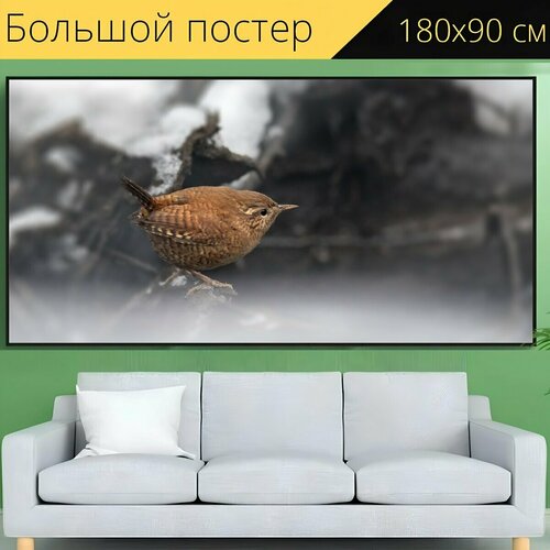 Большой постер "Евразийский крапивник, троглодиты троглодиты, птица" 180 x 90 см. для интерьера