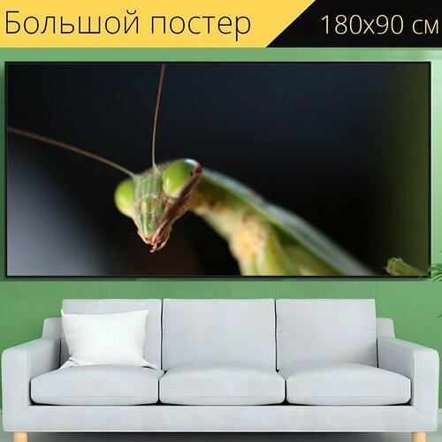 Большой постер "Богомол, насекомое, лето" 180 x 90 см. для интерьера