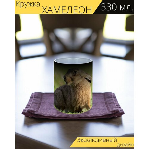 Кружка хамелеон с принтом "Заяц, зайчонок, животное" 330 мл.