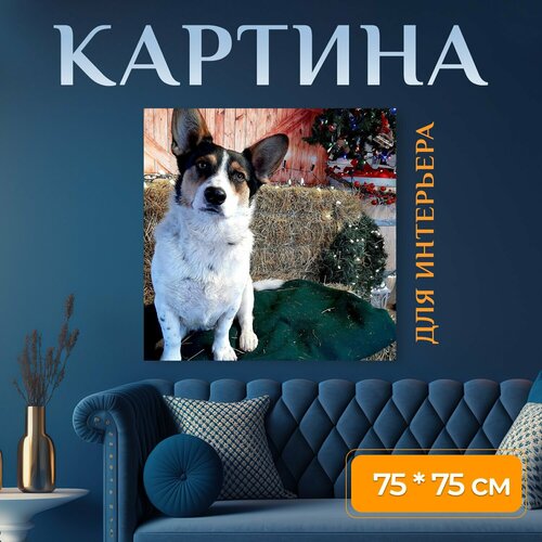 Картина на холсте "Собака, скамейка, домашний питомец" на подрамнике 75х75 см. для интерьера