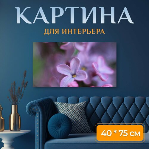 Картина на холсте "Сирень, цветы, фиолетовый" на подрамнике 75х40 см. для интерьера