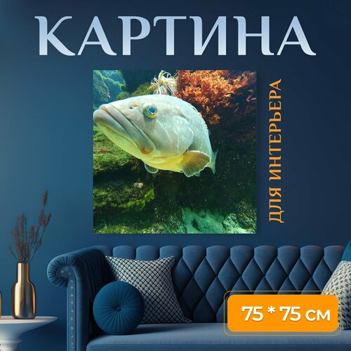 Картина на холсте "Аквариум, вода, рыбы" на подрамнике 75х75 см. для интерьера