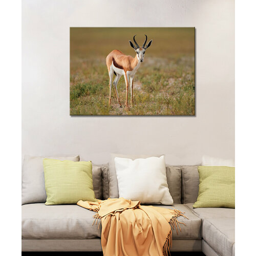 Картина - антилопа, антилопа коричневого цвета 30х40