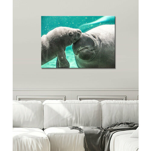 Картина -Ламантин, морская корова, ламантин в воде (7) 50х70
