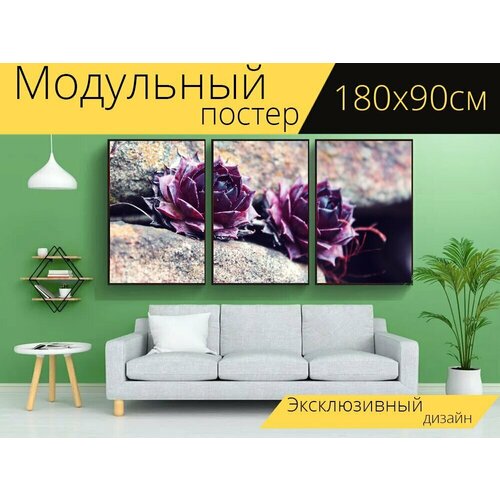 Модульный постер "Камень, цвести, цветок" 180 x 90 см. для интерьера