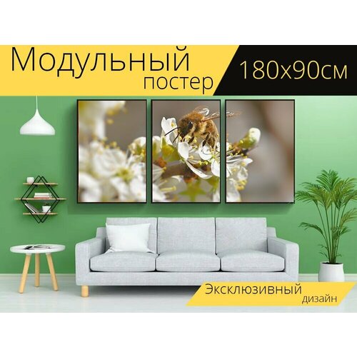 Модульный постер "Пчела, цветы, цветочная пыльца" 180 x 90 см. для интерьера